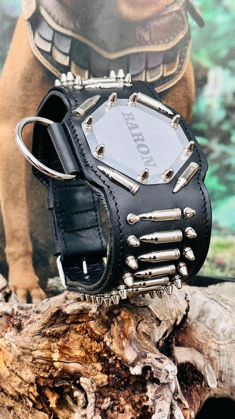 Handmade Leather Bullet Dog Collar & Leash | Personalized Engraved ...