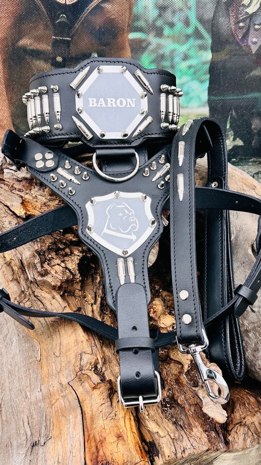 Adjustable Harness Walk Set | Dog Harness Set | Personalized Collars ...
