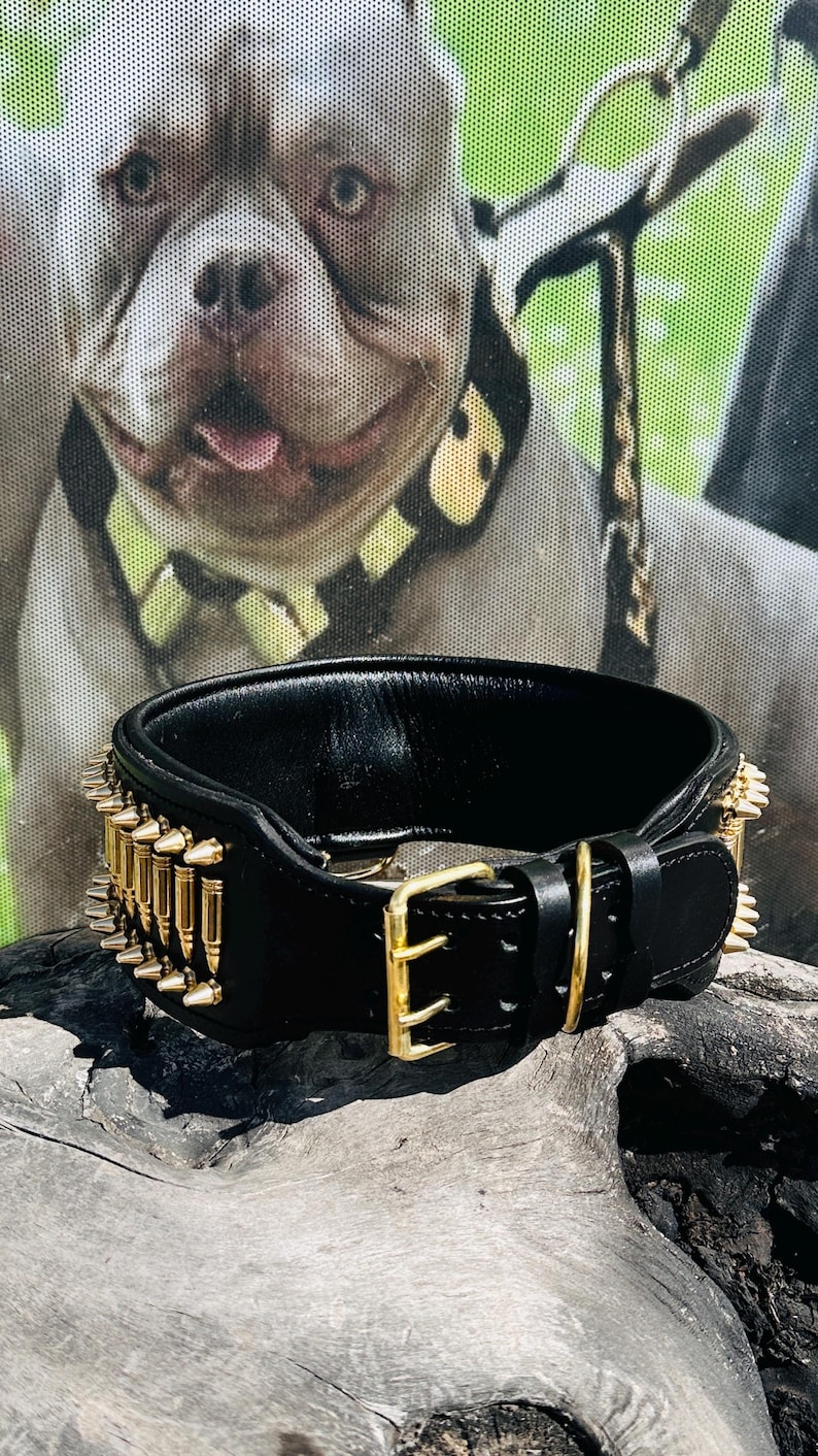 Handmade Wide Leather Dog Collar, Bullet Studs, Lion Emblem - Etsy UK