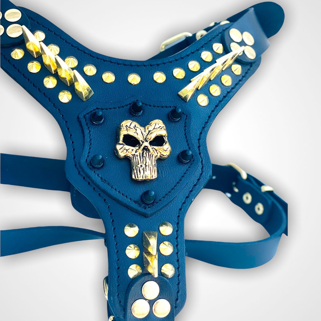 Handmade Leather Dog Harness: Custom Engraved Collar With Skull - Etsy