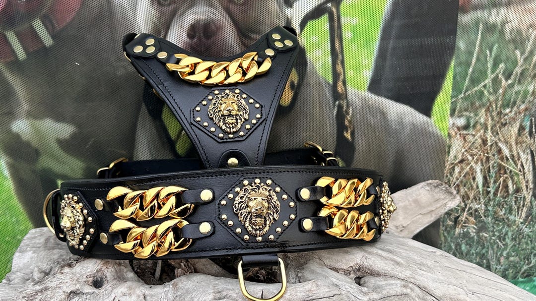 Gold and White Leather Adjustable Harness Walk Set Dog Harness Set ...
