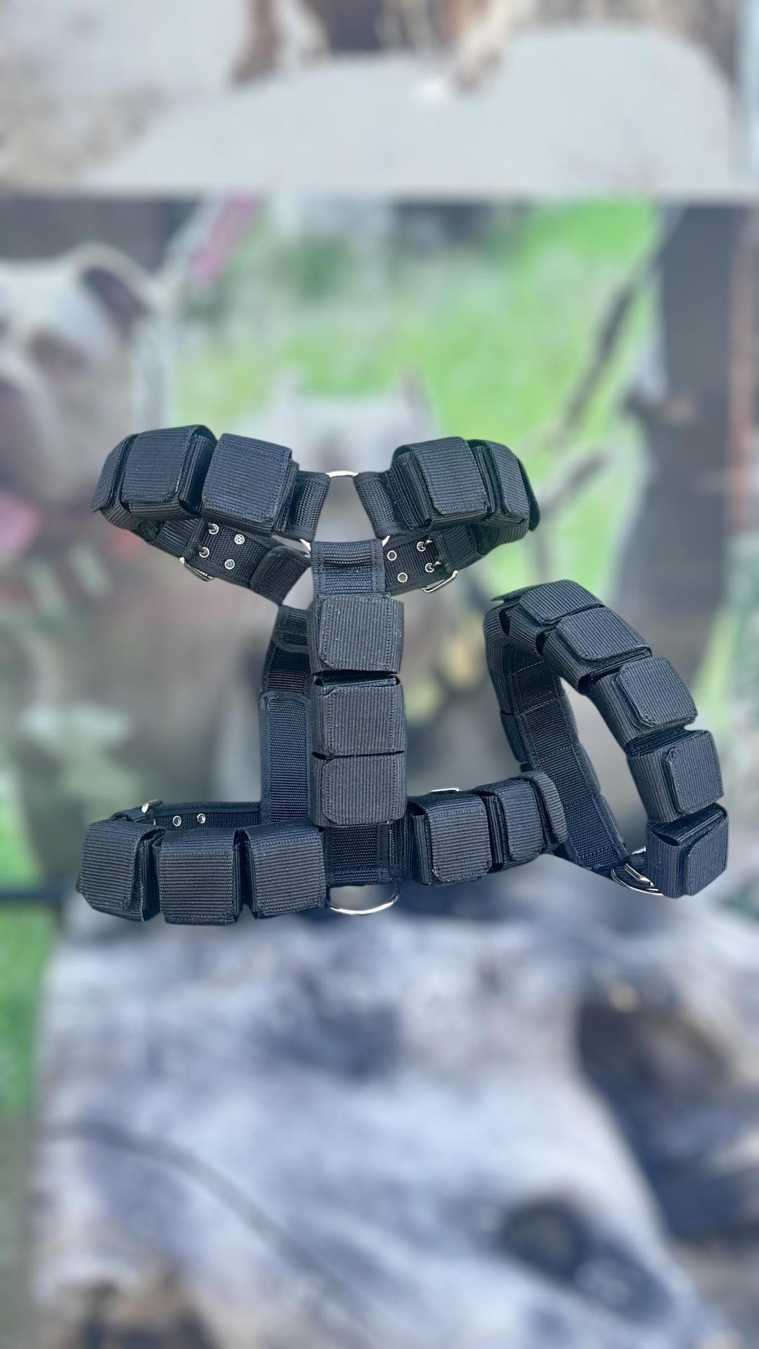 Heavy-duty Dog Weight Training Set - Adjustable Weighted Collar ...