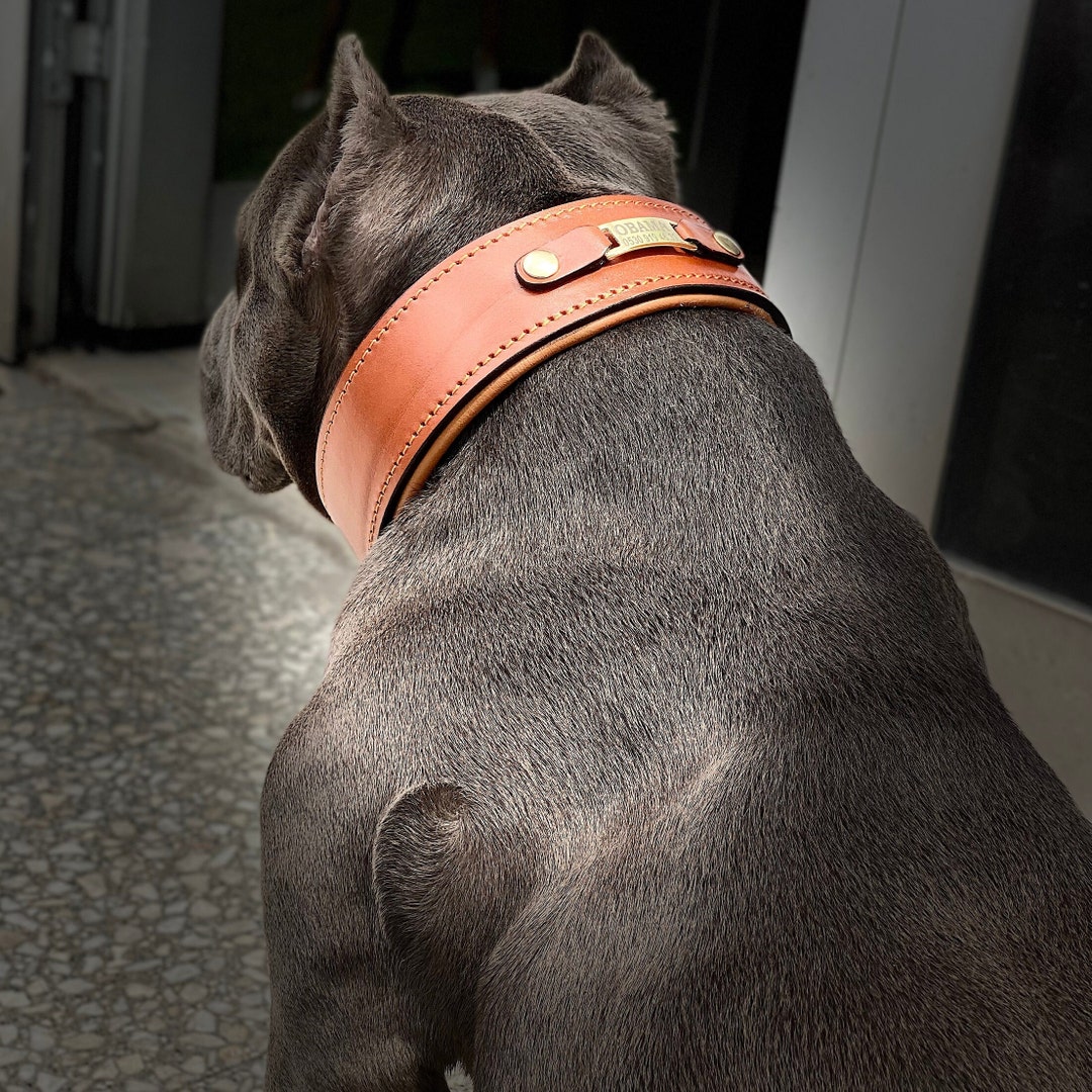 Bully Handmade Dog Collars | Custom Dog Collar | Personalized Collars ...