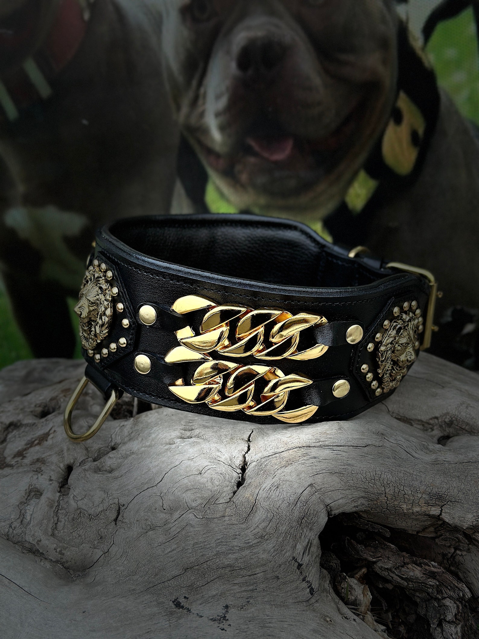 Handmade Wide Buffalo Leather Dog Collar: Gold Lion, Chain Detail - Etsy