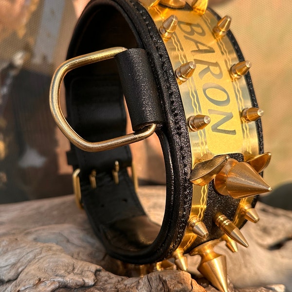 Custom Dog Collars - Etsy