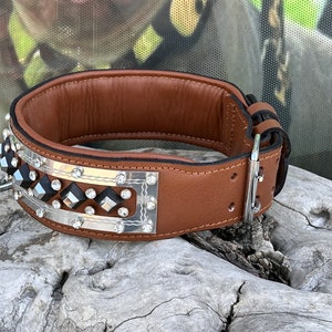 Extreme Collars Handmade Dog Collars Personalized Collars Dog Gift ...