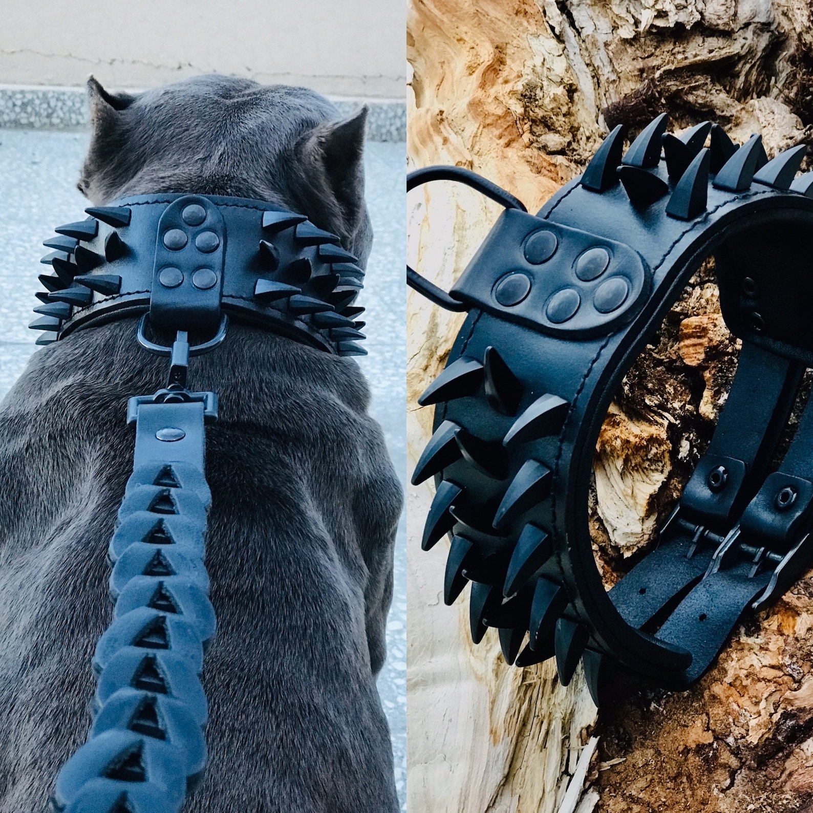 Spike Dog Collar Handmade Personalized Leather Collar Adjustable ...