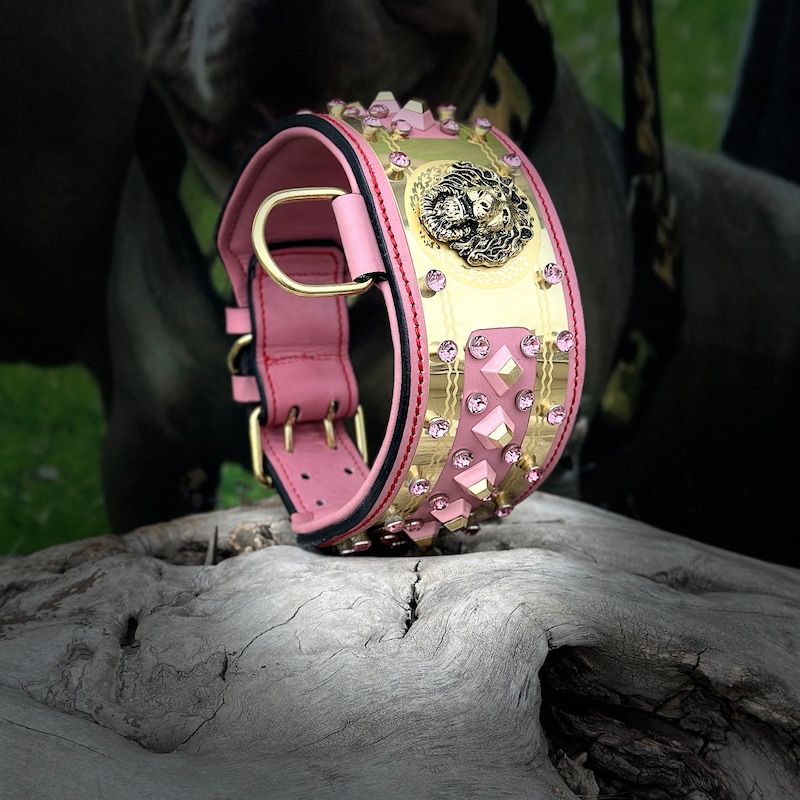 Custom Dog Collars - Etsy