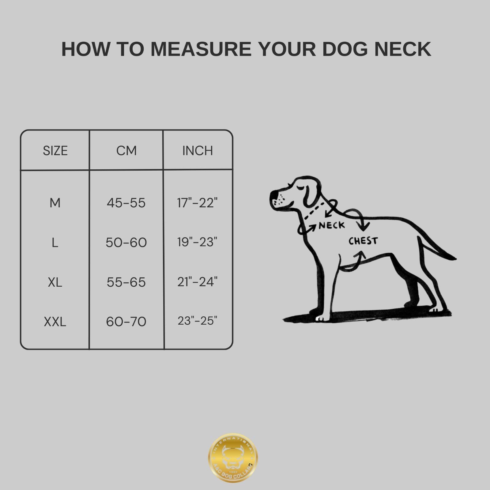 Heavy-duty Dog Weight Training Set - Adjustable Weighted Collar ...