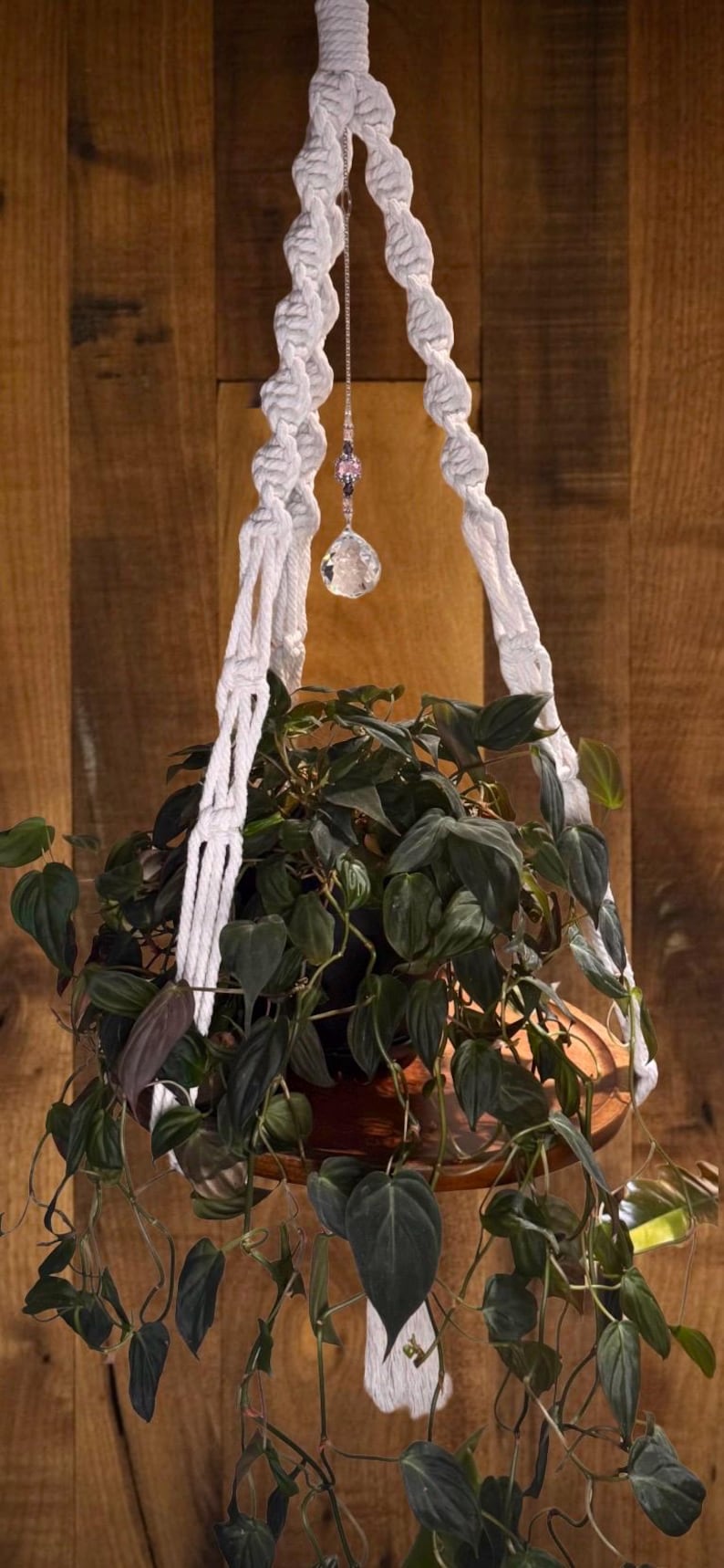 White Macrame Plant Hanger With Wood Base | Elegant Boho Plant Decor - Etsy