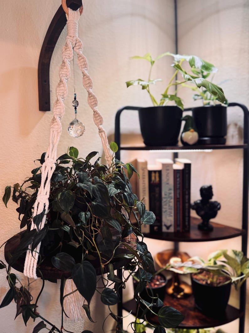 White Macrame Plant Hanger With Wood Base | Elegant Boho Plant Decor - Etsy