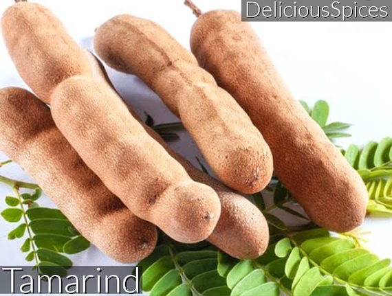 Tamarind Pods Tamarind Whole Sour & Sweet Tamarind 100% - Etsy