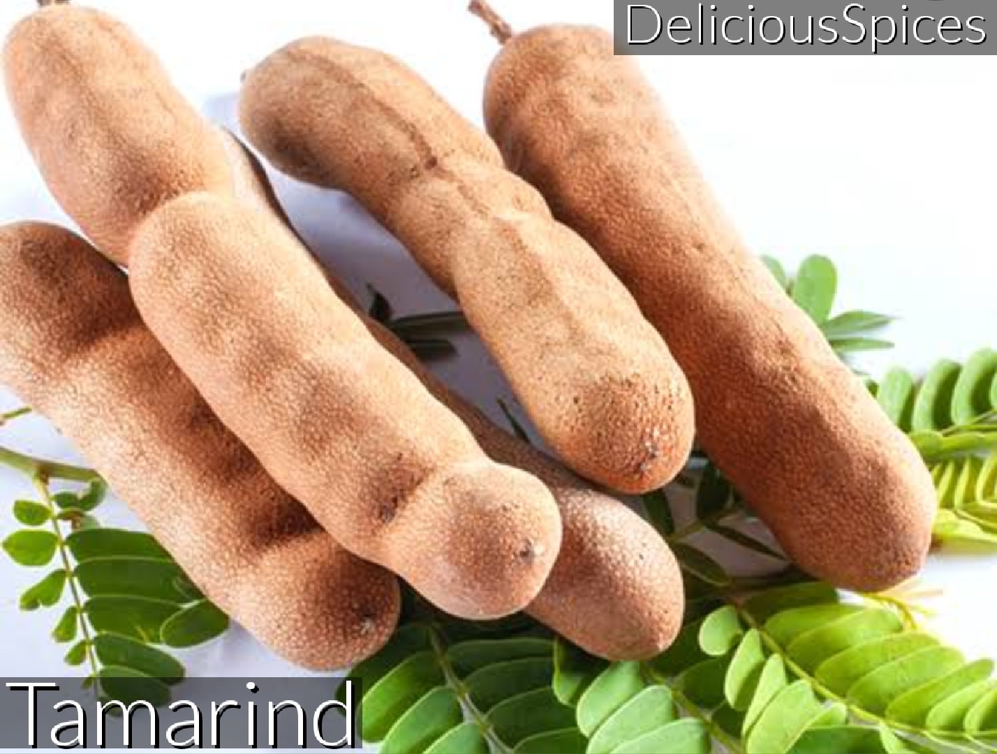 Tamarind Pods, Tamarind Whole, Sour & Sweet Tamarind, 100% Pure Organic ...