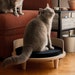 Square Modern Low Cat Table, Cat Furniture, Cat House - Etsy