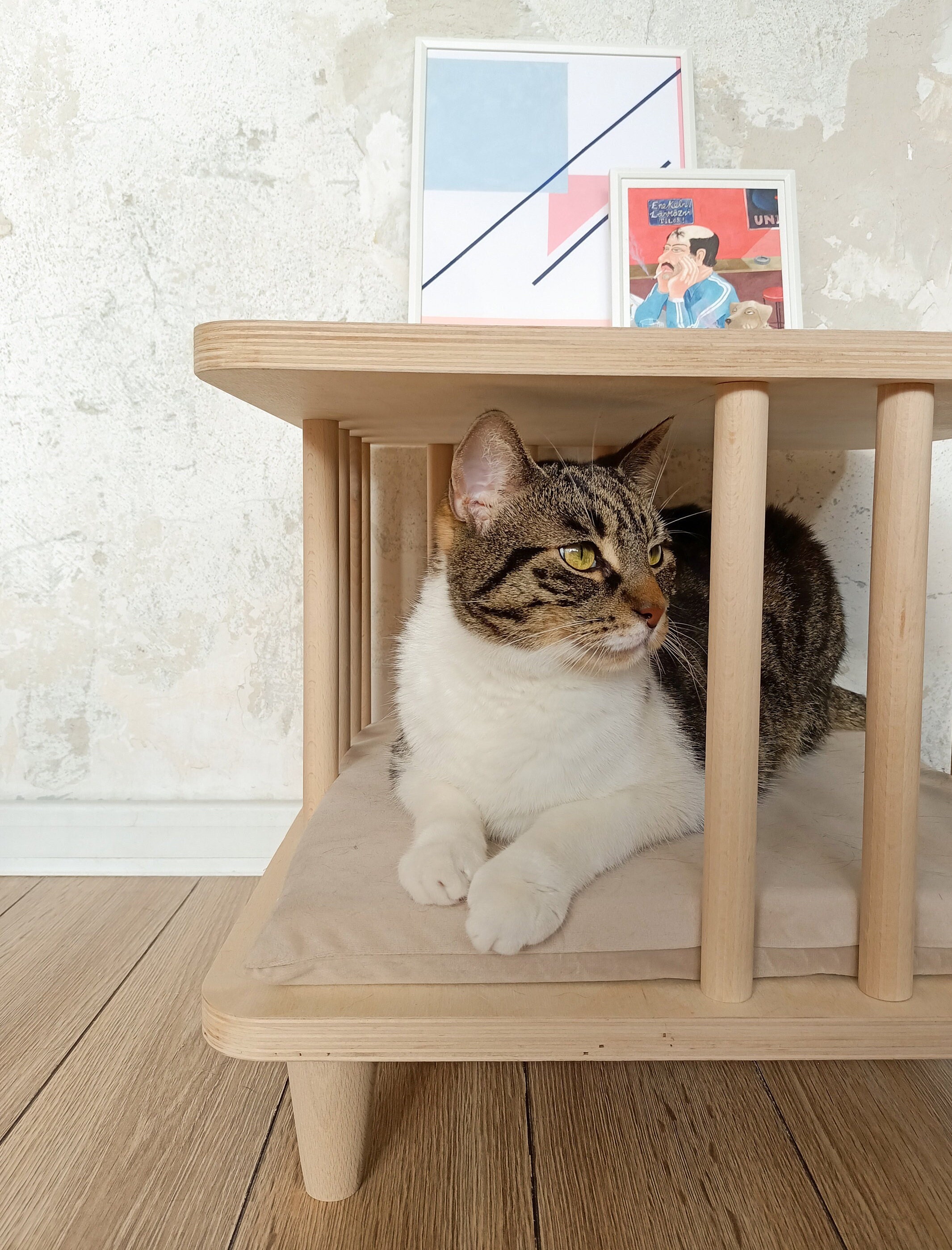 Square Modern Low Cat Table, Cat Furniture, Cat House - Etsy