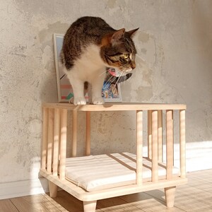 Square Modern Low Cat Table, Cat Furniture, Cat House - Etsy