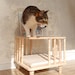 Square Modern Low Cat Table, Cat Furniture, Cat House - Etsy