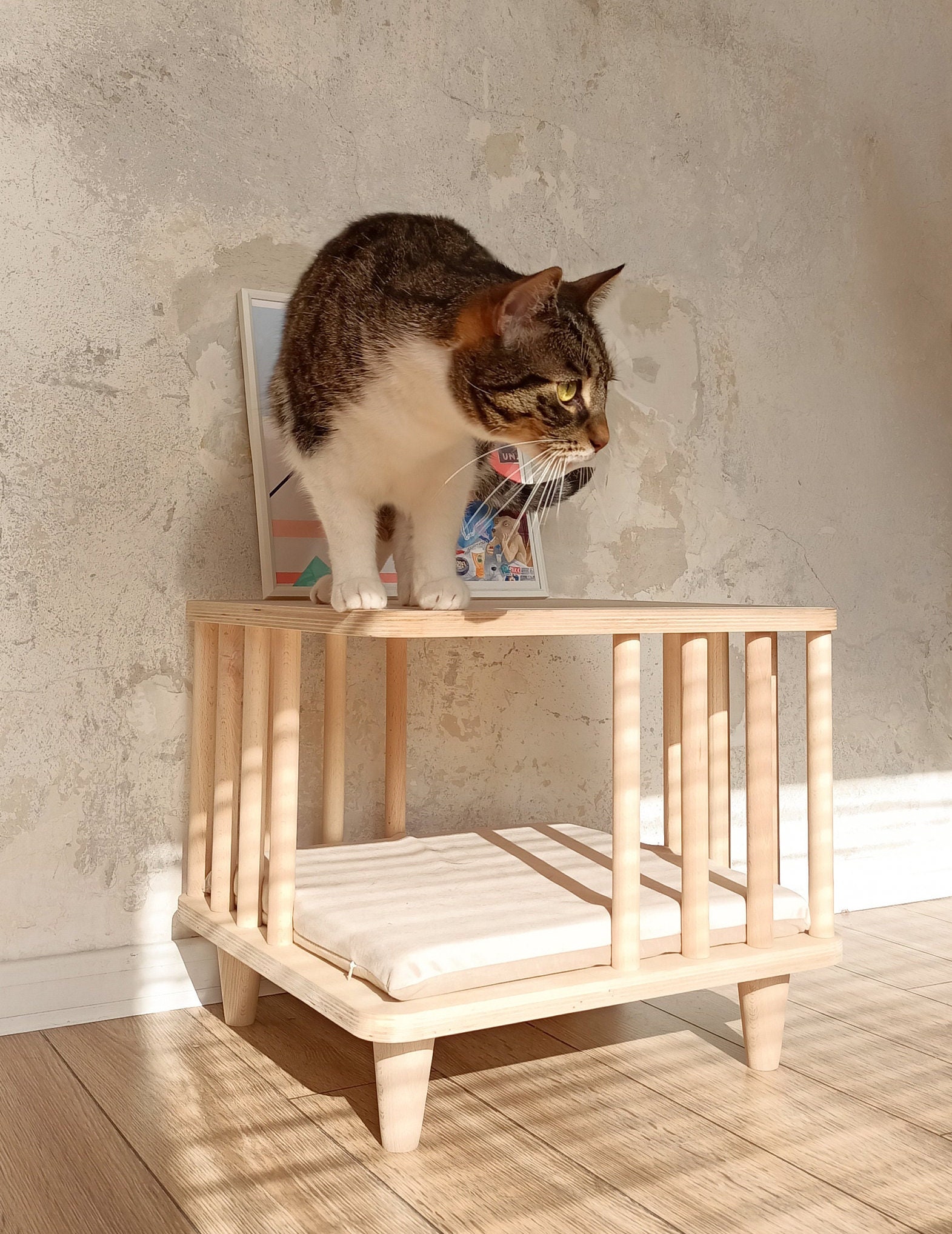 Square Modern Low Cat Table, Cat Furniture, Cat House - Etsy