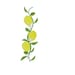 Lemon Branch, 3 Sizes, Machine Embroidery Designs - Etsy