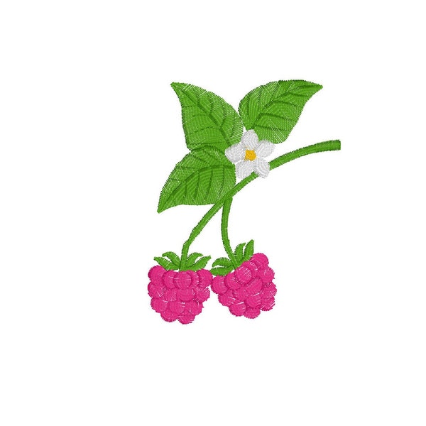 Raspberry Embroidery - Etsy