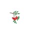 Rowan Branch, 3 Sizes, Machine Embroidery Designs - Etsy