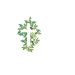 Leafy Cross Leaves, 3 Sizes, Machine Embroidery Designs - Etsy