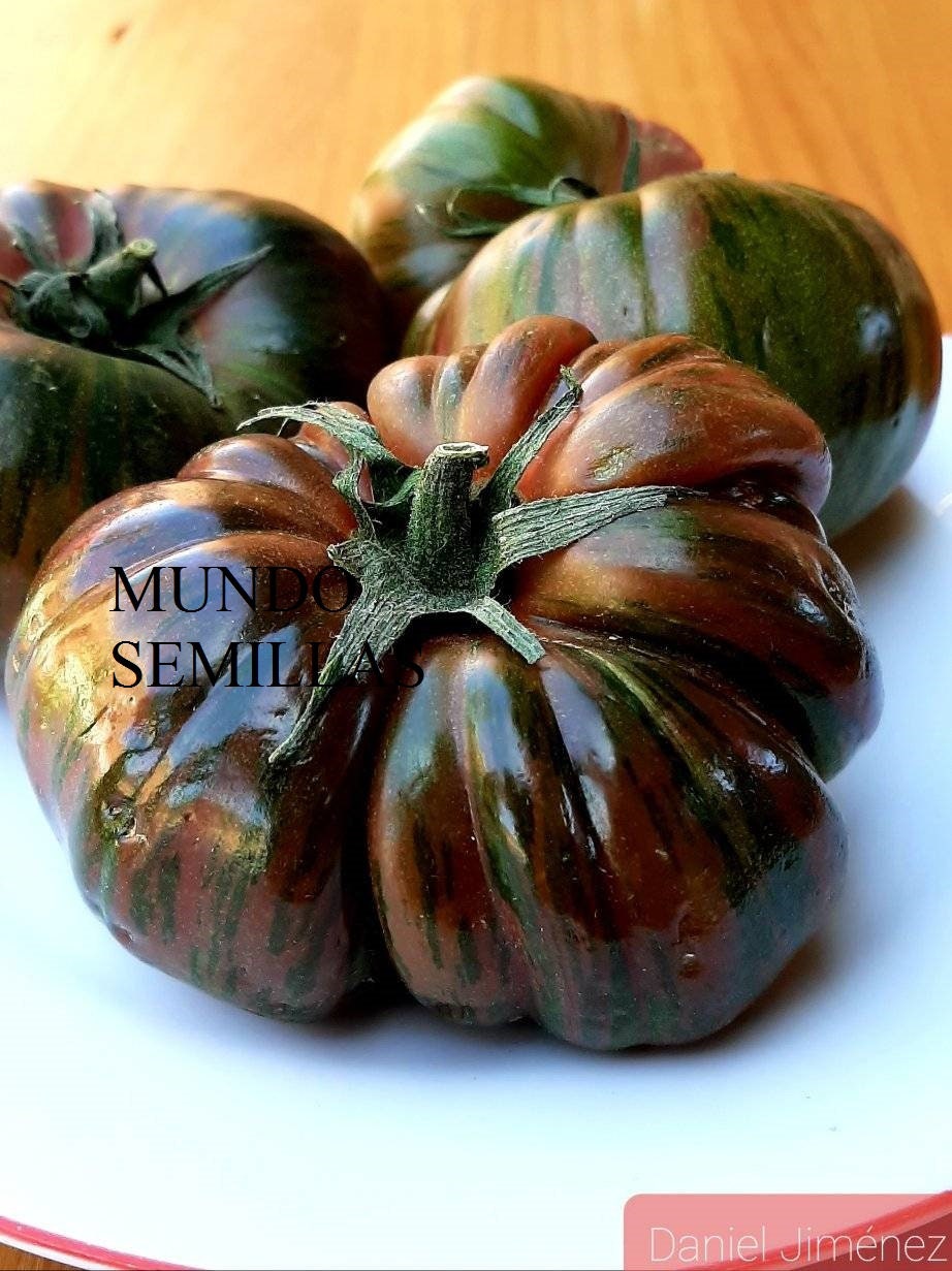 Tomate tradicional cherokee PURPLE variedad muy antigua 20 semillas ...