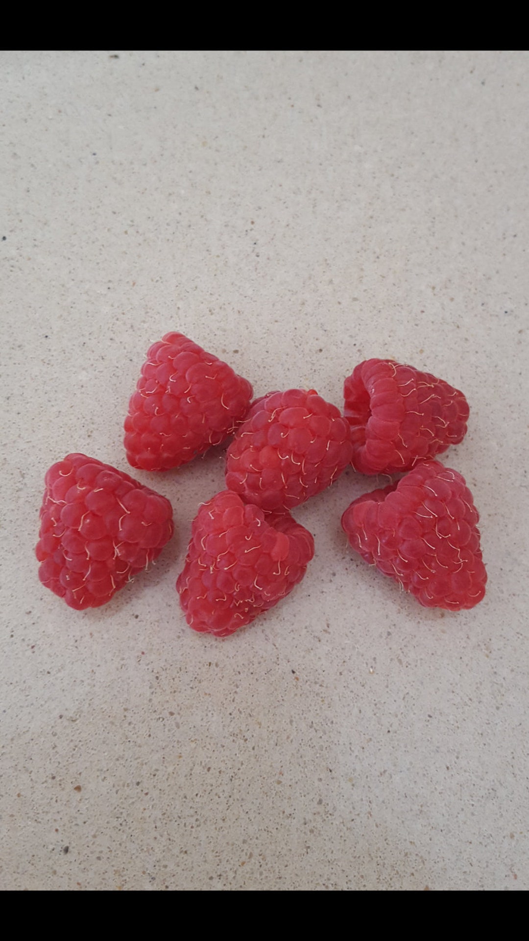 200 Seeds of Red Raspberry Fruits Rubus Idaeus Vine Bush - Etsy Canada