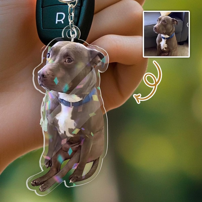 Hologram Pet Keychain - Etsy