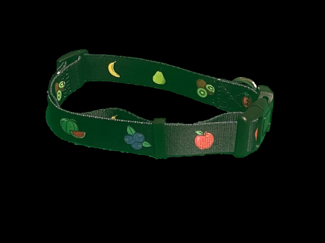 Better Pet Collar - Fruit/veggie - Etsy