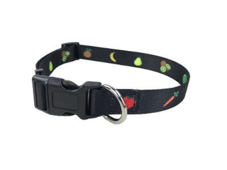 Better Pet Collar - Fruit/veggie - Etsy