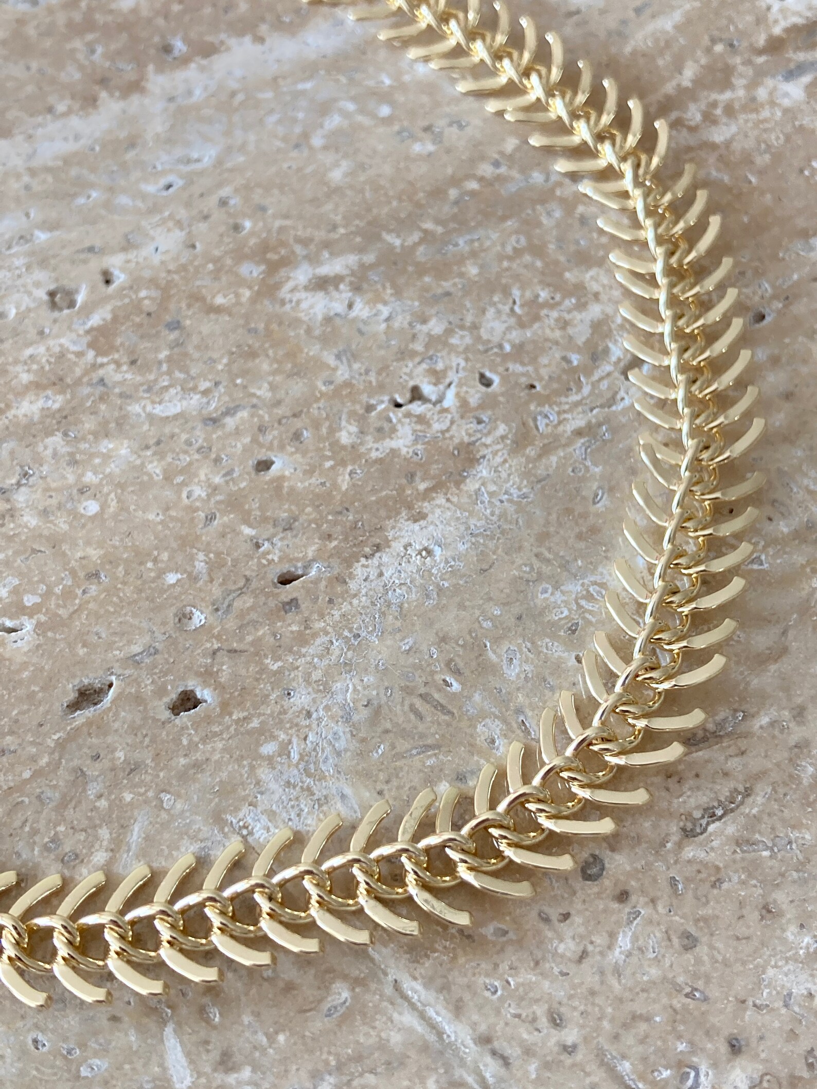 Gold Silver Fishbone Necklace.gold, Fishbone, Chain, Choker, Necklace ...