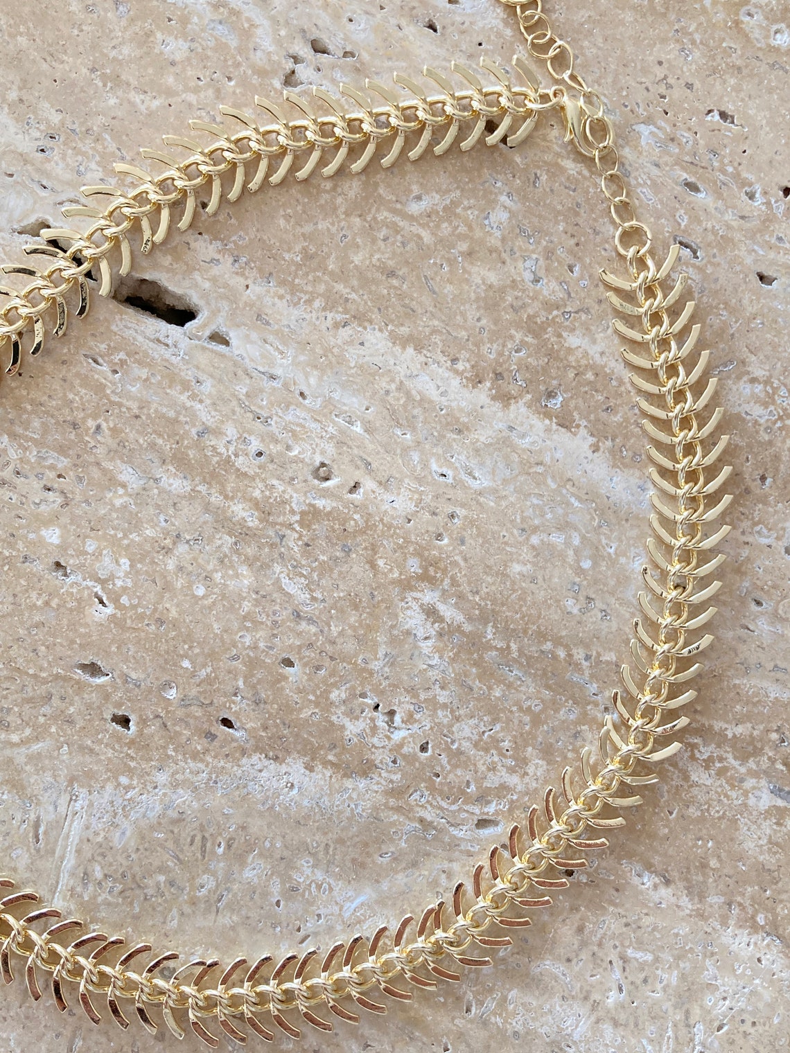 Gold Silver Fishbone Necklace.gold, Fishbone, Chain, Choker, Necklace ...