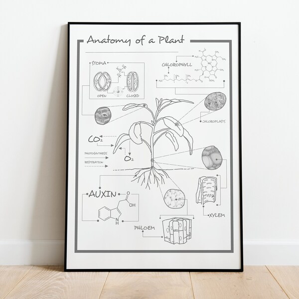 Biophilic Art - Etsy