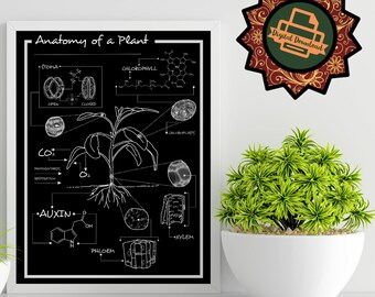 Biophilic Wall Art - Etsy