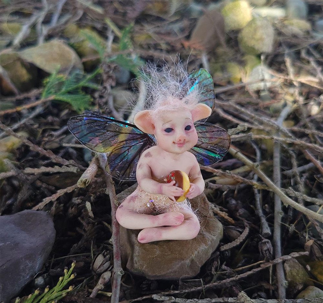 Tiny Peach Fuzz Pot Belly Pig W/ Wings Cute Baby Pixie Pig, Who Said ...