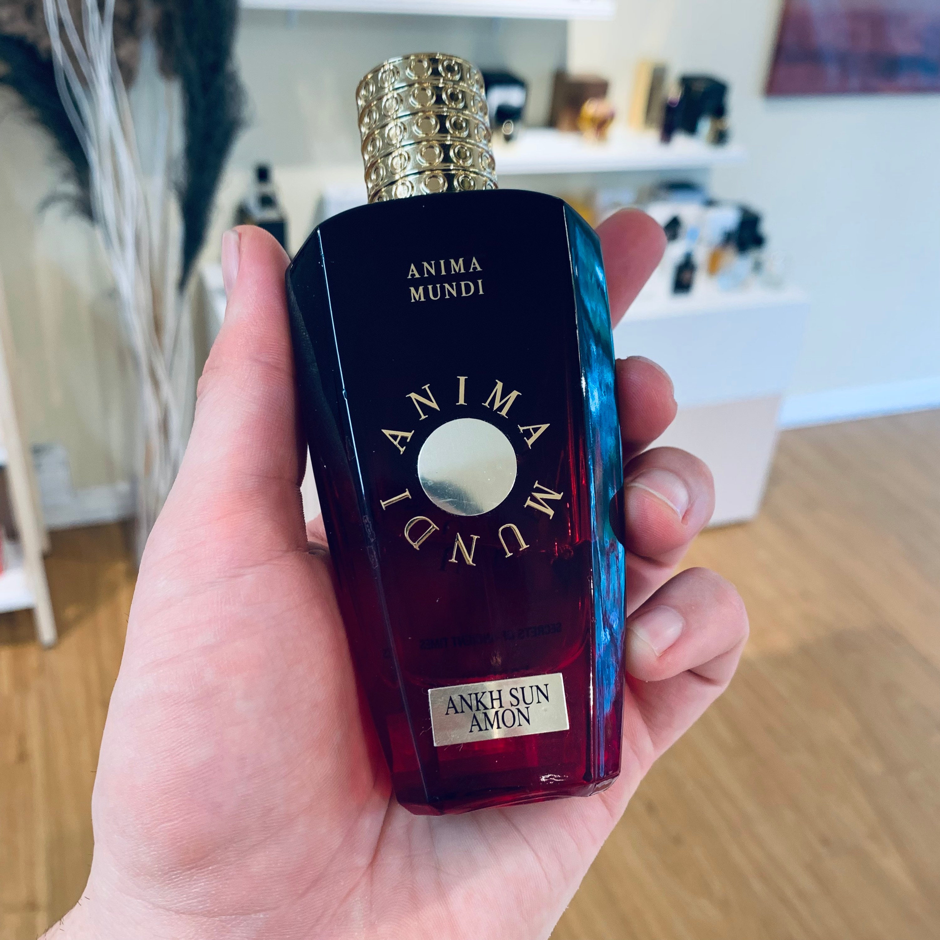 Ankh Sun Amon Anima Mundi Eau De Parfum Spray Long-lasting - Etsy