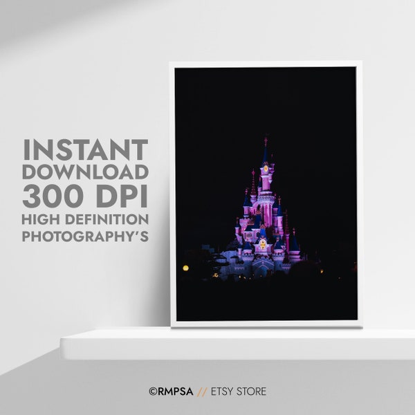 Printable Disneyland Castle - Etsy