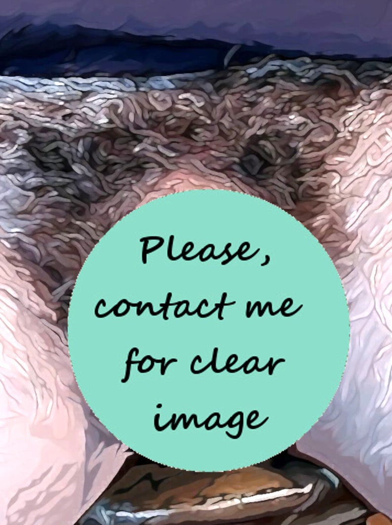 Custom Penis Portrait Personalized Penis Drawing Etsy