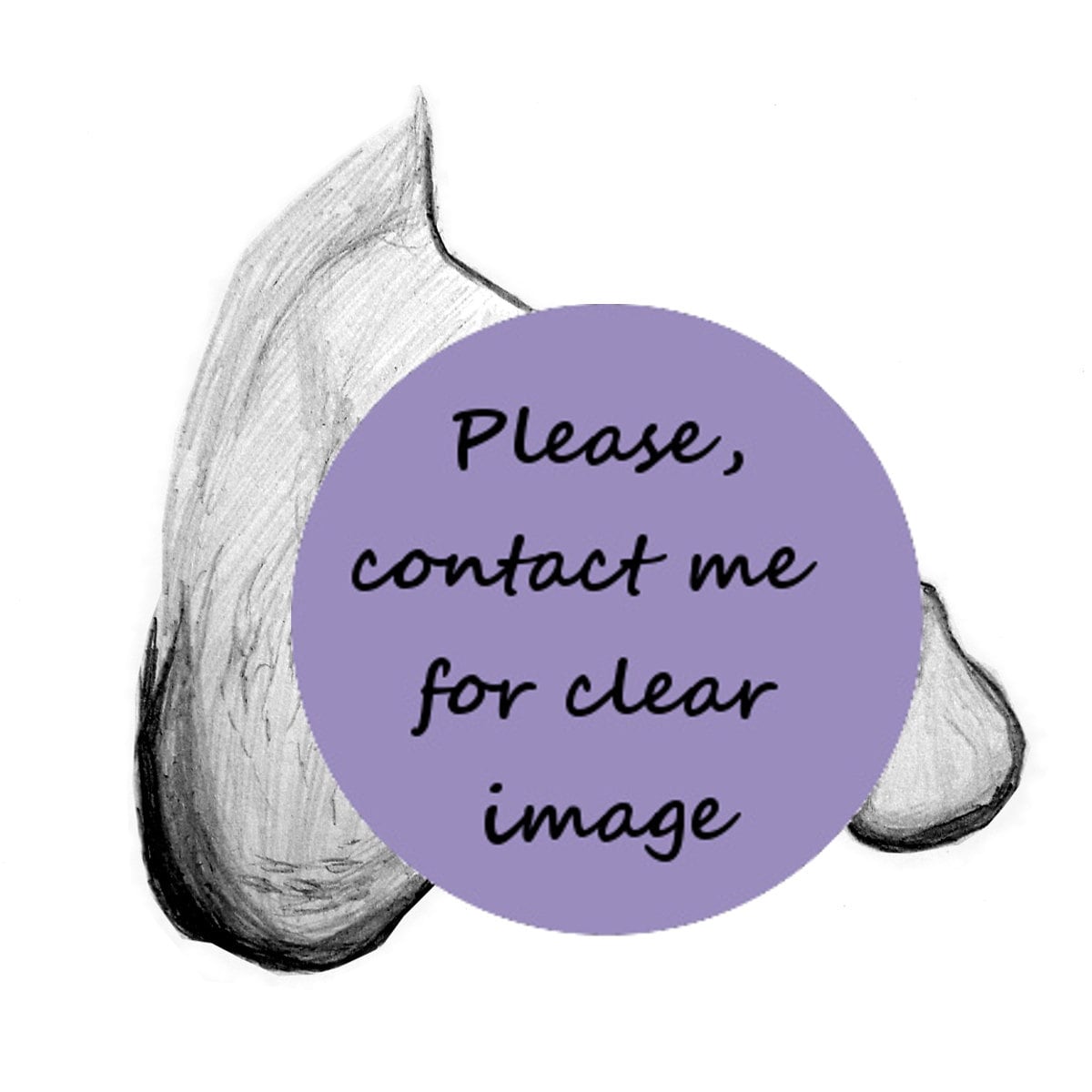 Custom Penis Portrait, Hand-drawn Pencil Penis Drawing - Etsy