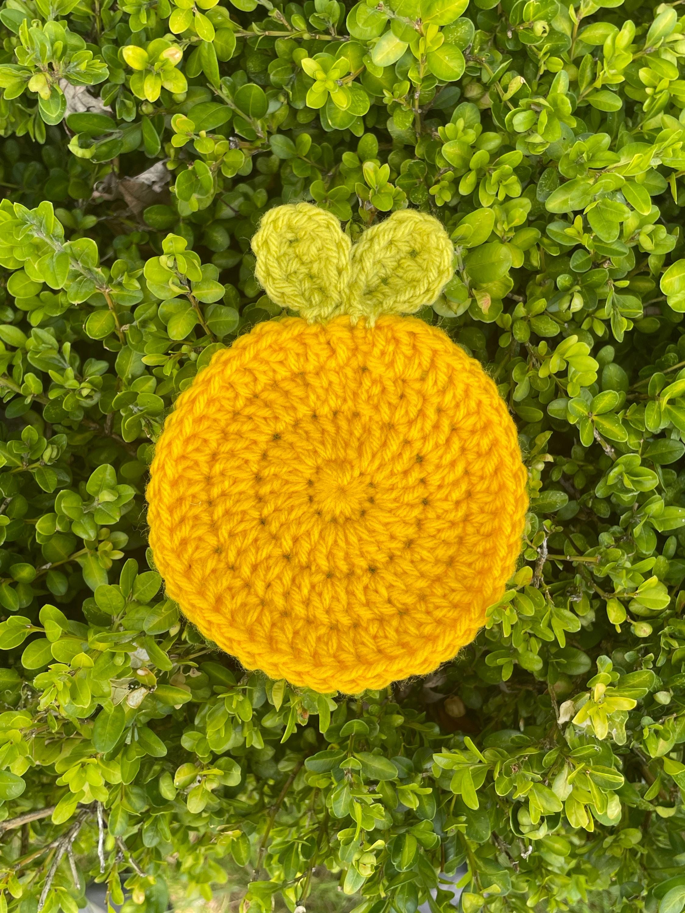 Handmade Crochet Food Coasters | Fun Fruit Drink Coasters - Etsy
