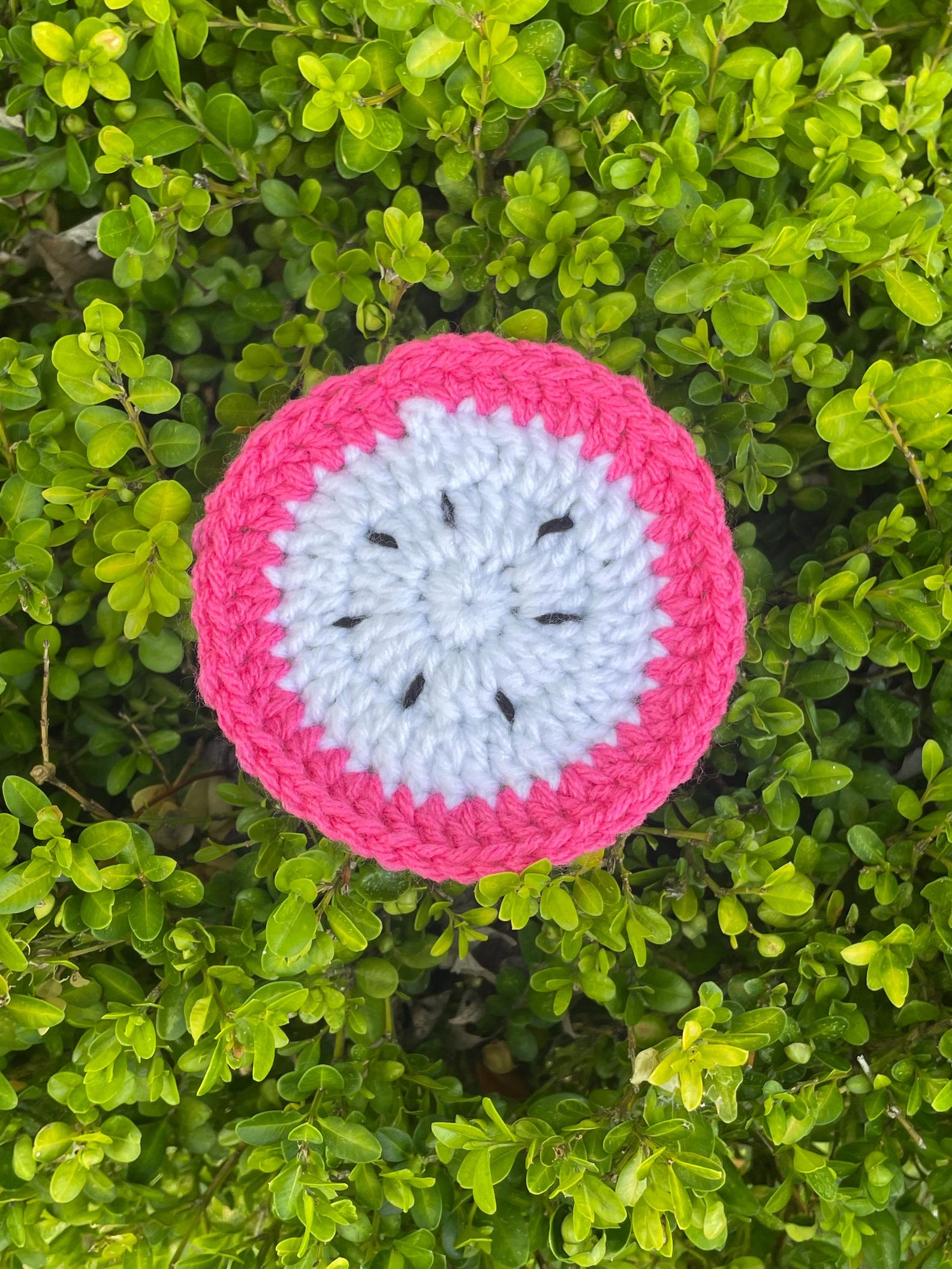 Handmade Crochet Food Coasters | Fun Fruit Drink Coasters - Etsy