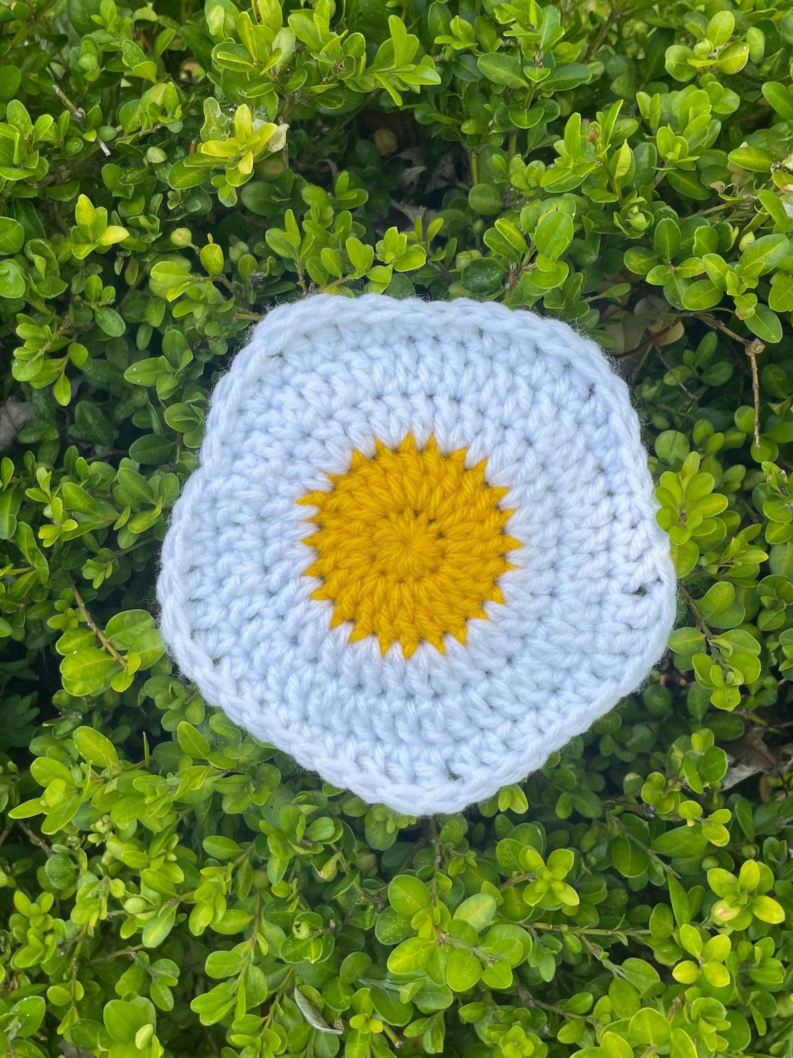 Handmade Crochet Food Coasters | Fun Fruit Drink Coasters - Etsy