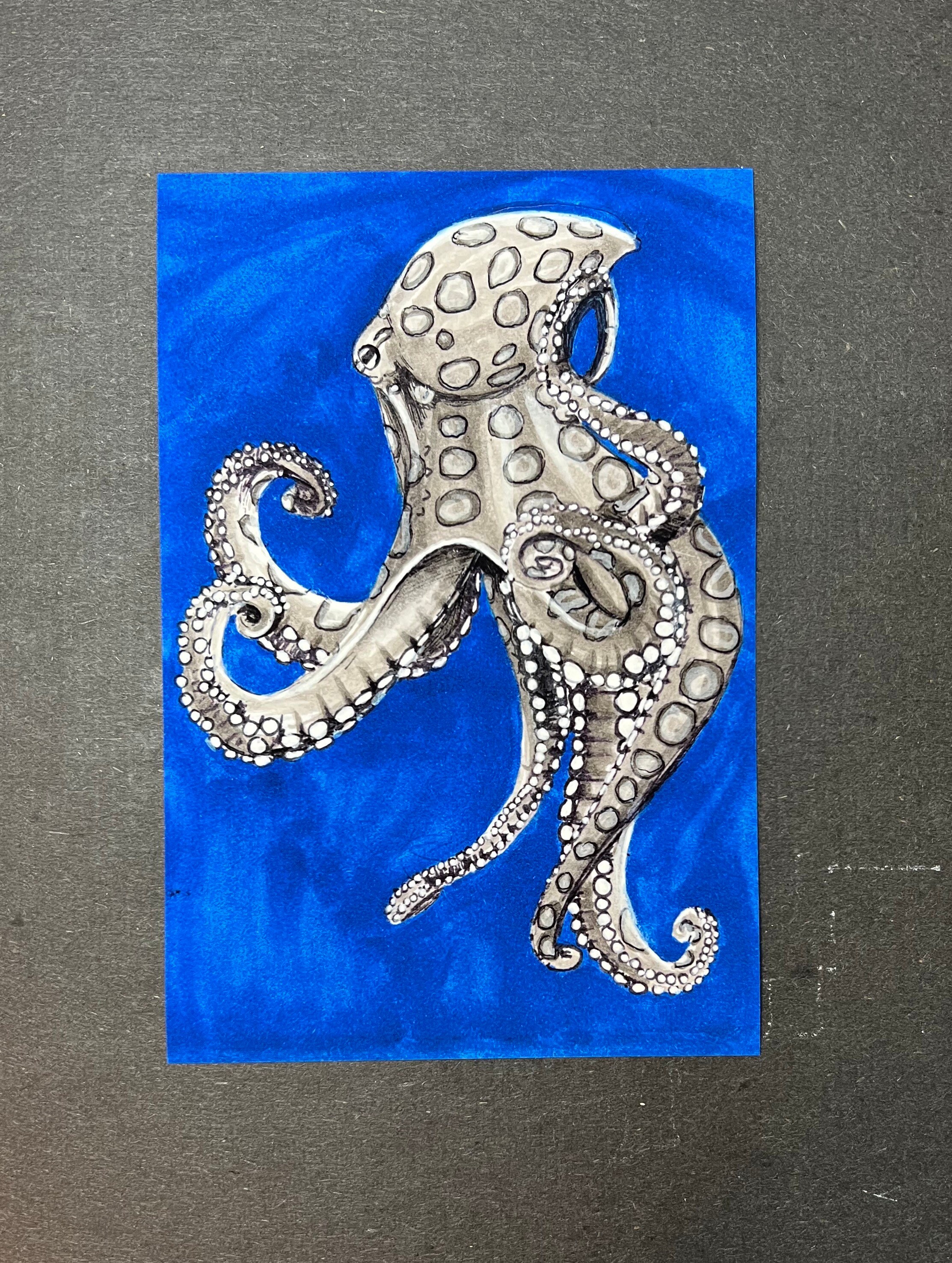 Greater Blue Ringed Octopus Drawing