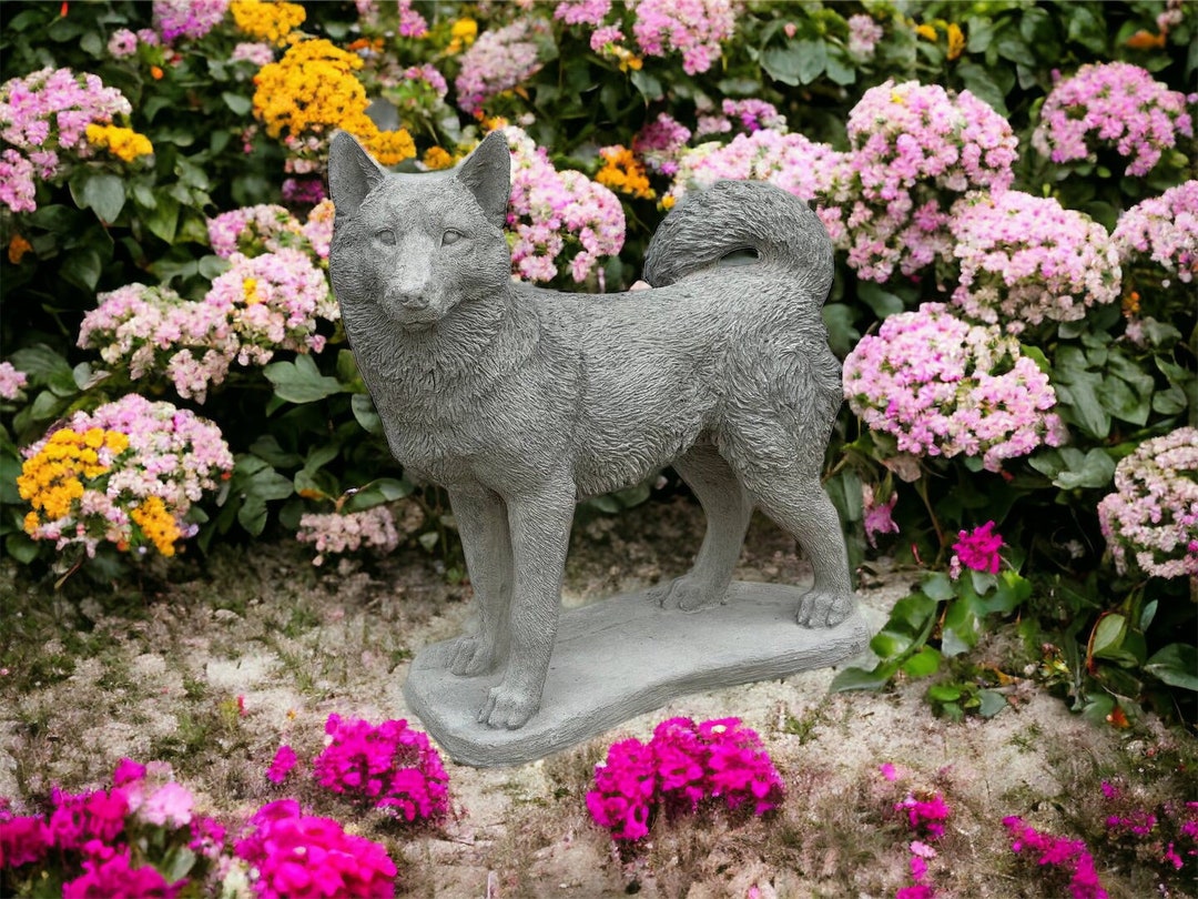 Massive Siberian Husky Statue Standing Siberian Husky Figurine Concrete ...