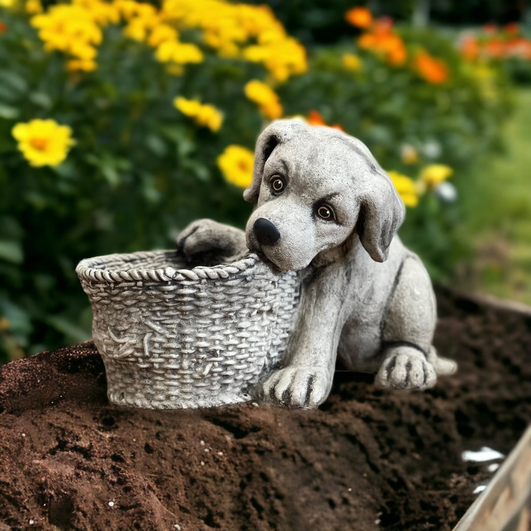 Chewing Puppy on Basket Statue Sitting Dog With Basket Figure - Etsy