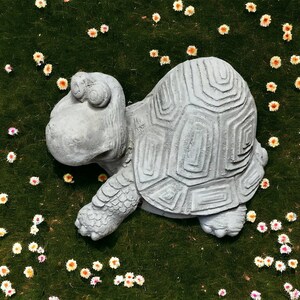 Concrete Turtle With Big Eyes Figure Detailed Bug Eyed Turtle Figurine ...