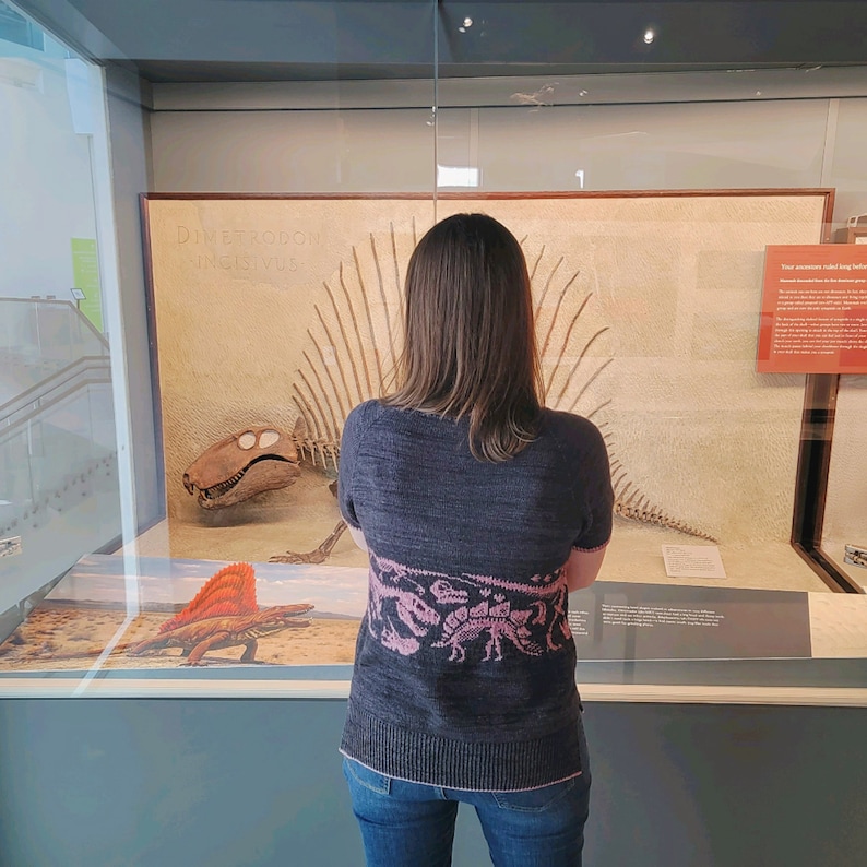 Fossil Frenzy Tee (adult) Pattern, Knit Dinosaur Unisex Sweater ...