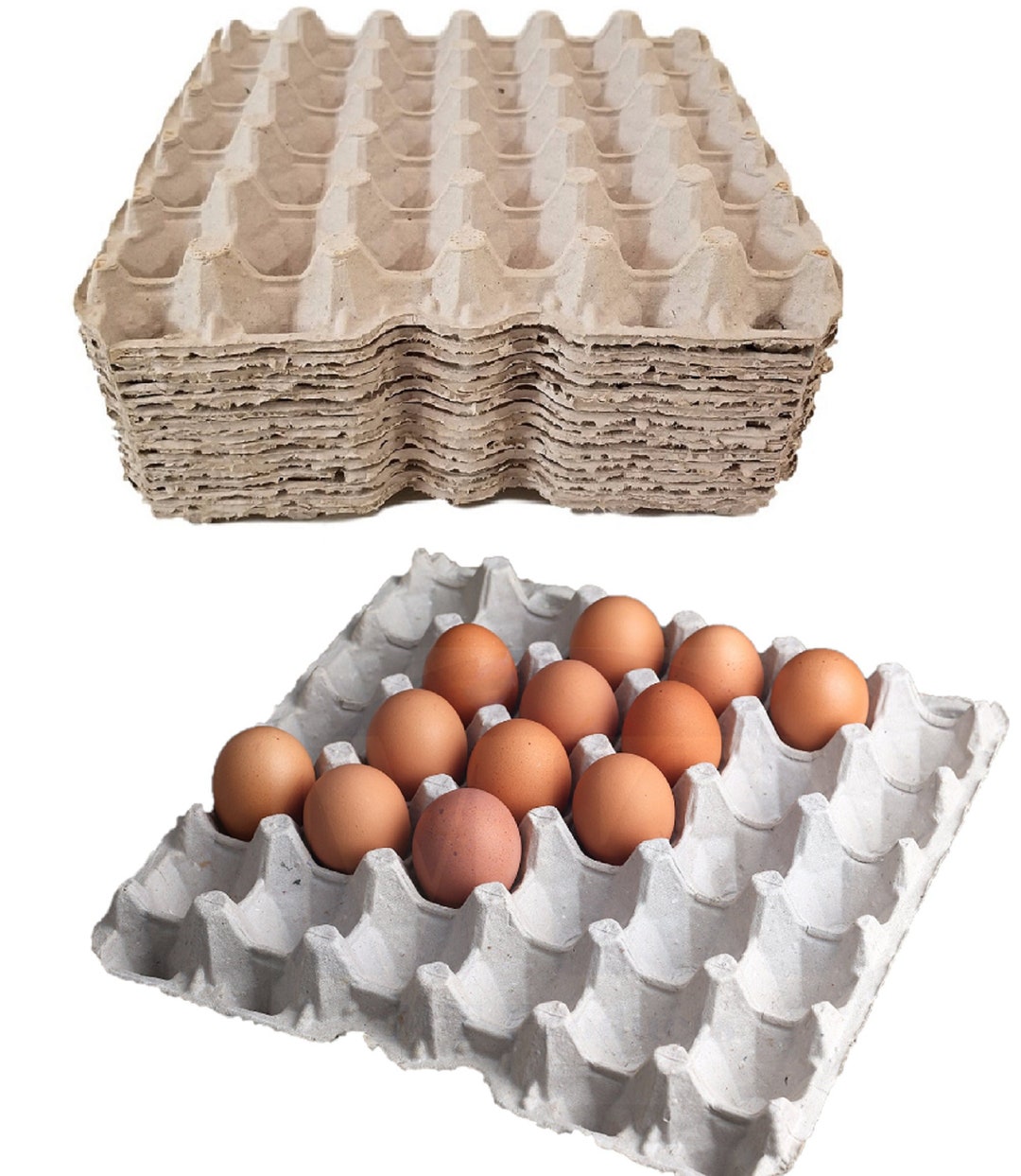 Egg Crates Flats 30 Cell Tray Organic Egg Carton Stack Pet Reptile Live ...