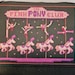 Pink Pony Club by Chappell Roan - Digital PDF Pattern - Etsy
